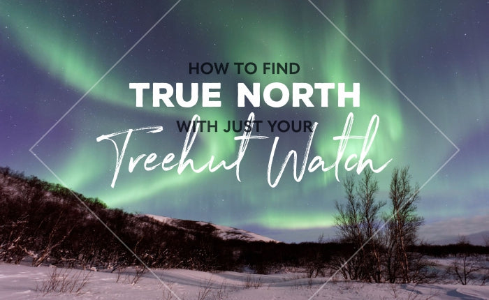 Treehut Blog | How to Find True North With Just Your Treehut Wooden ...