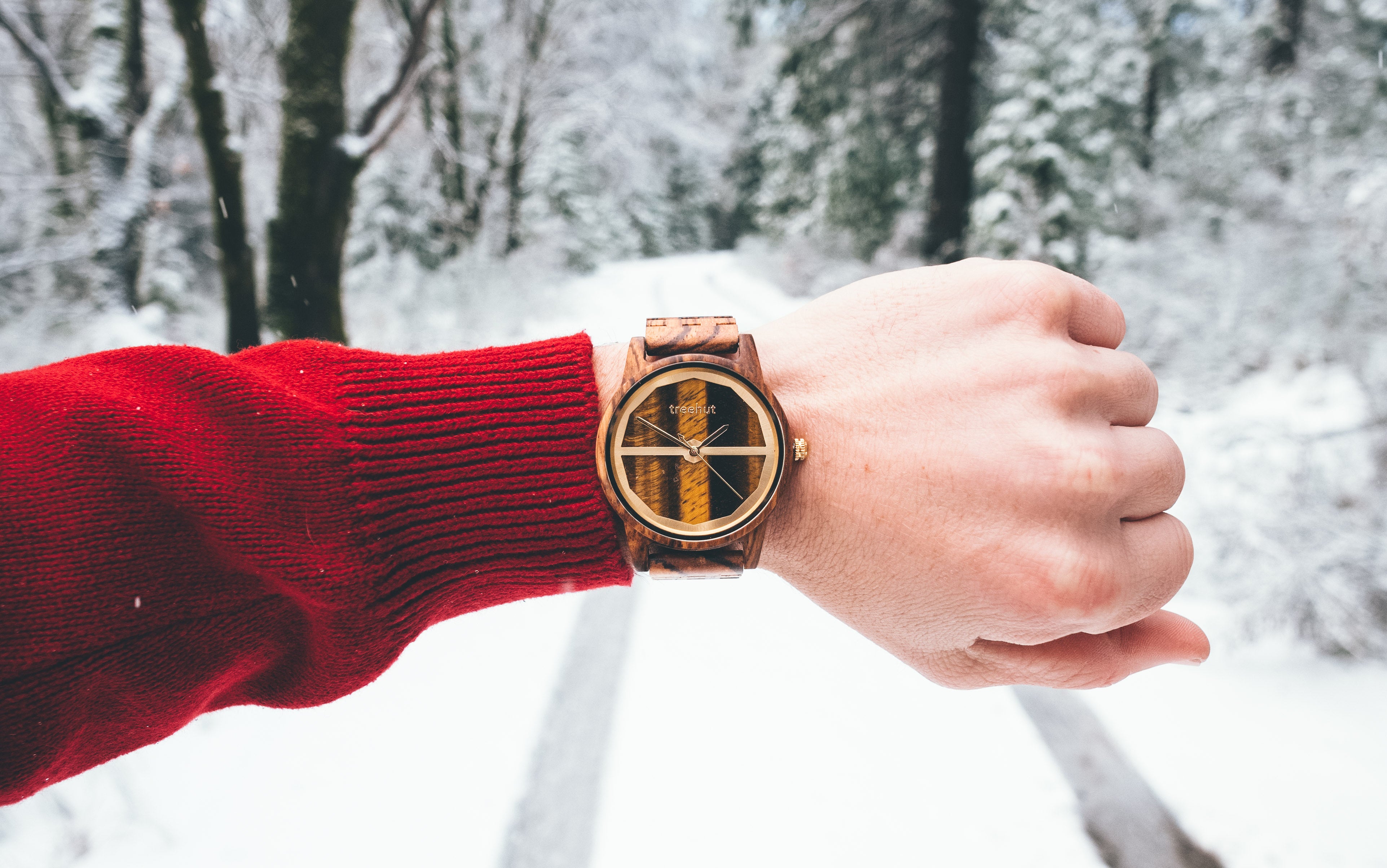 Heart-Warming Winter Facts | Watches For Winter Season | Treehut