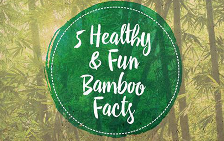 5 Healthy & Fun Bamboo Facts | Treehut