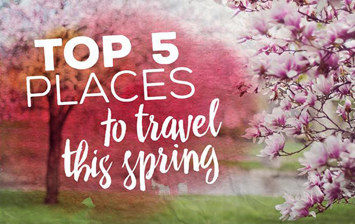 Top 5 Places to Travel This Spring – Treehut