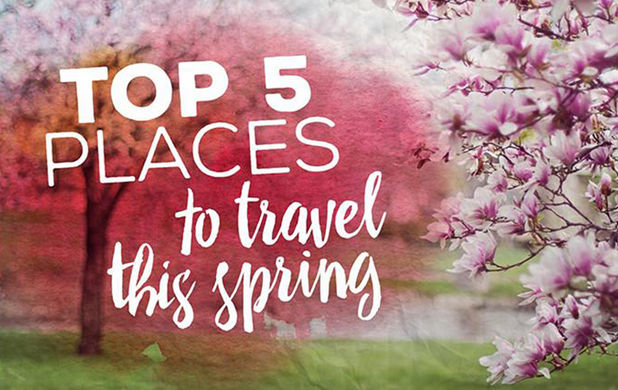 Top 5 Places to Travel This Spring | Treehut